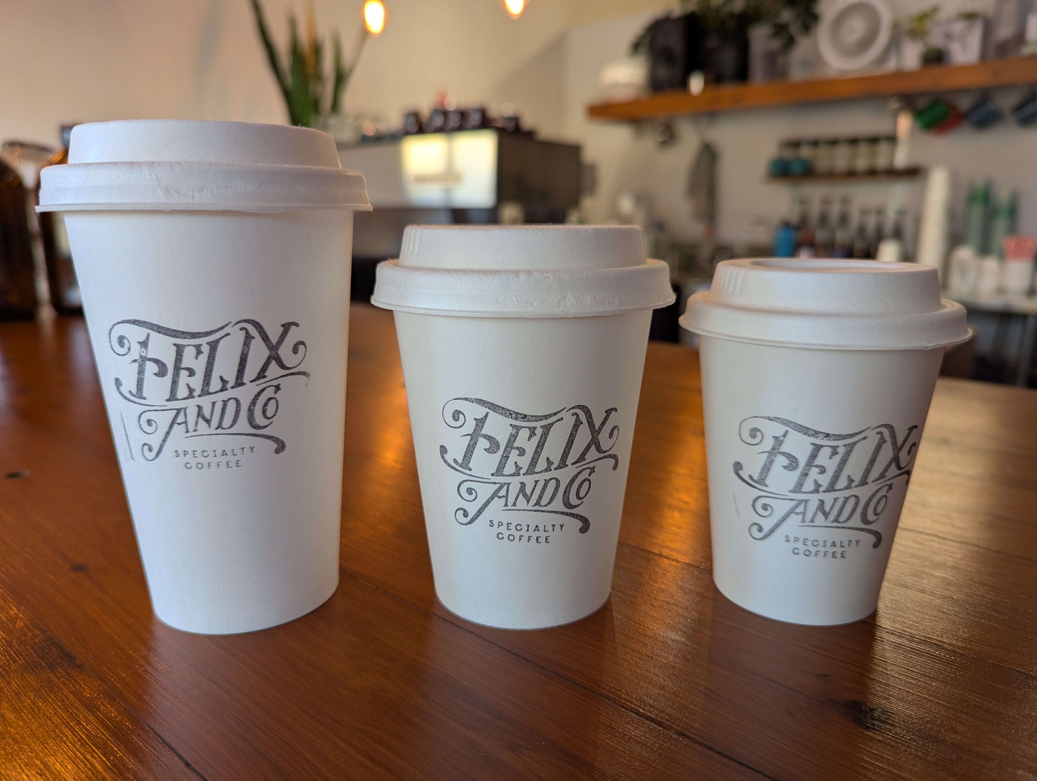 Felix & Co. Specialty Coffee
