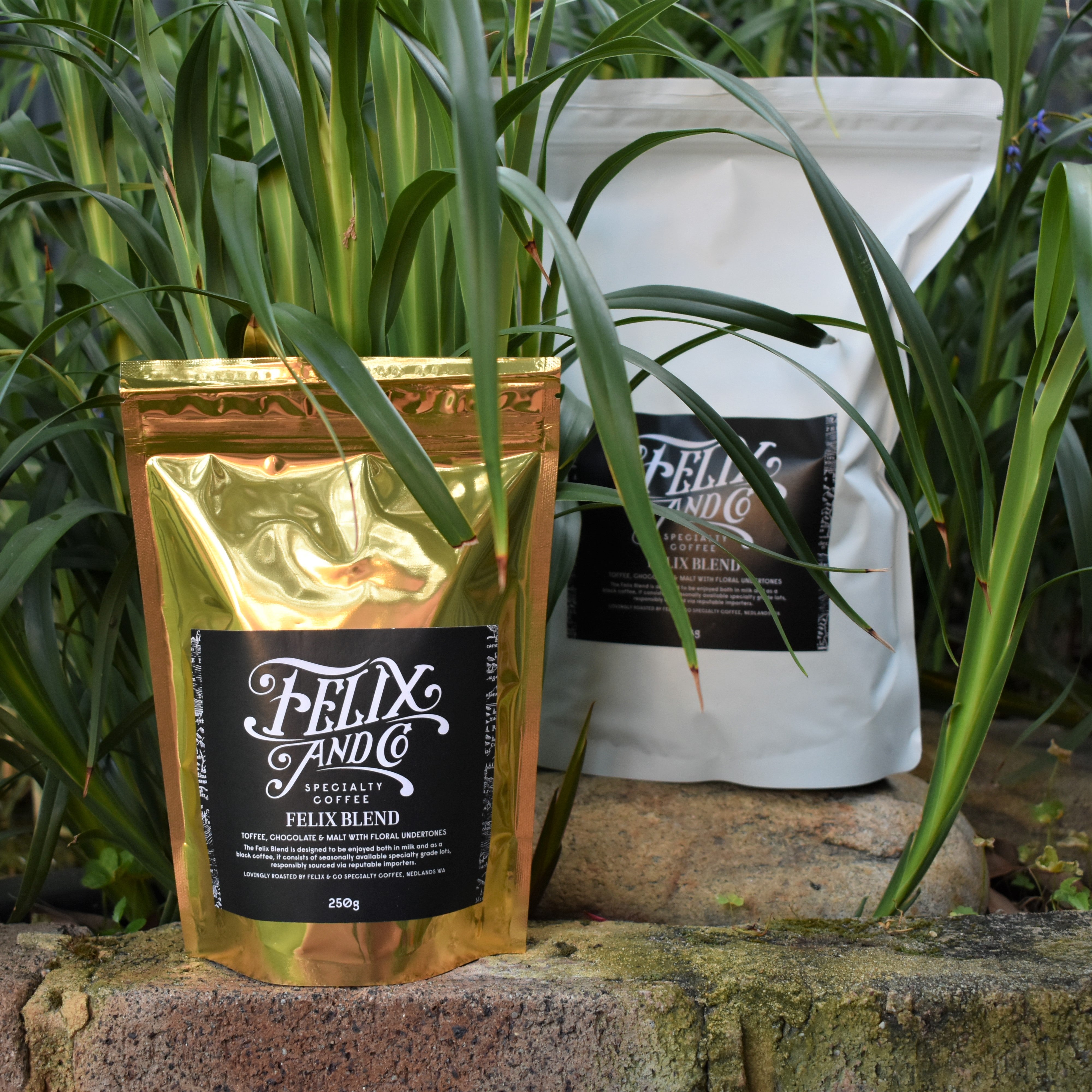 Felix & Co. Specialty Coffee